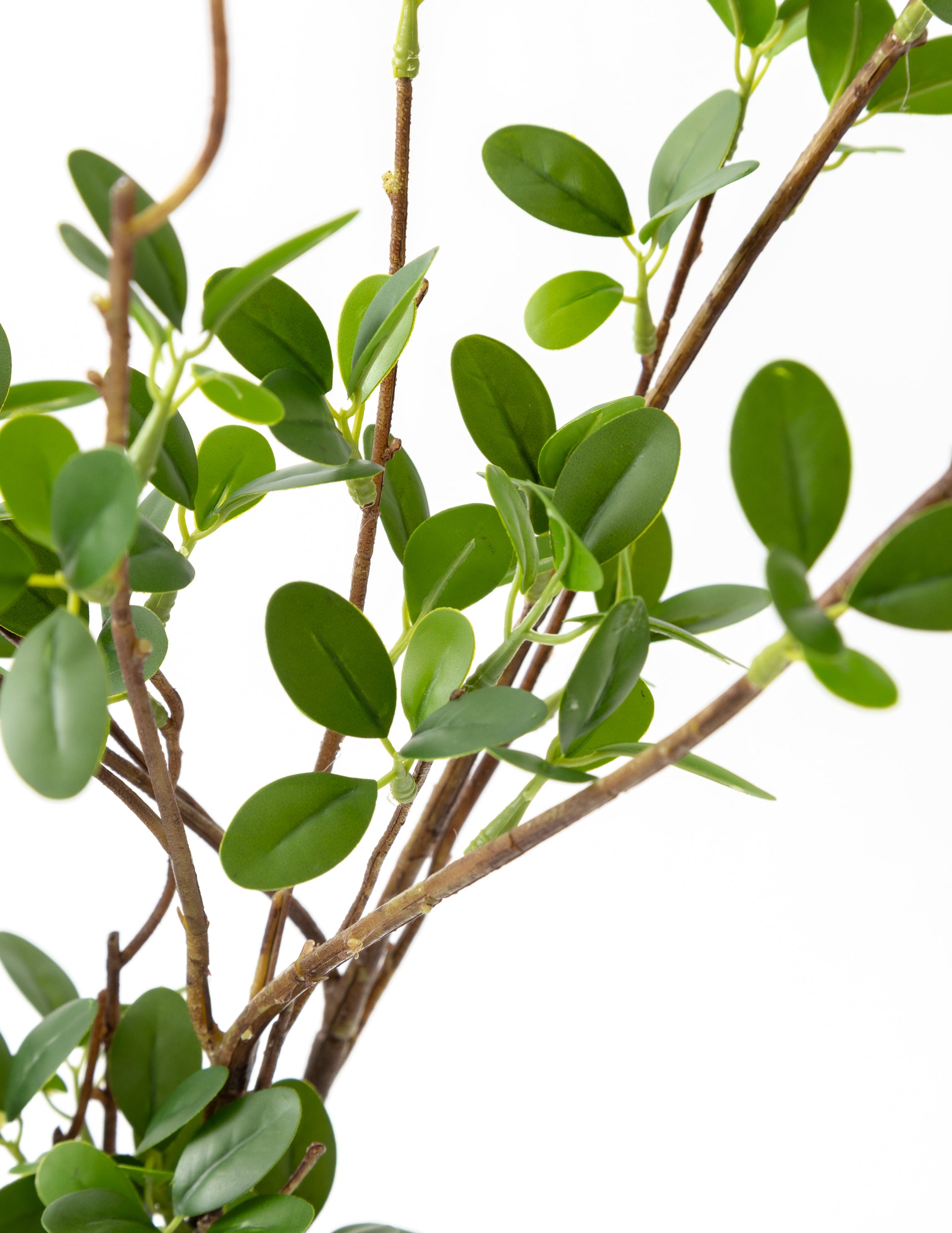 40" Green Leaf Stem – Eco Chic Home