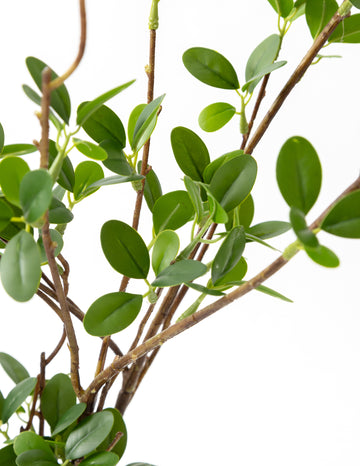 40" Green Leaf Stem – Eco Chic Home