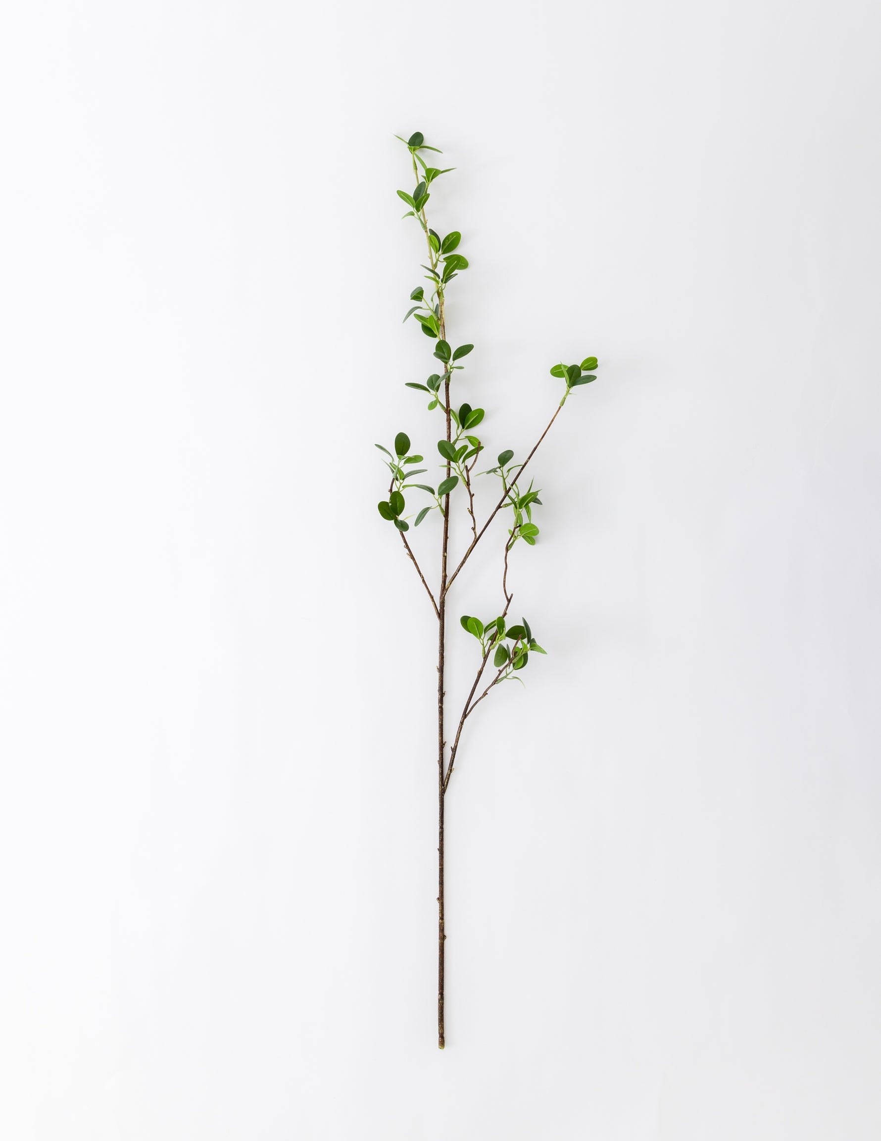 40" Green Leaf Stem – Eco Chic Home