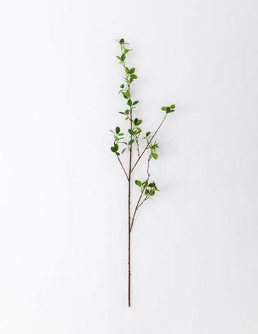 40" Green Leaf Stem – Eco Chic Home
